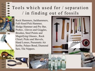 techniques in paleontology.pptx