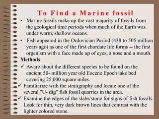 techniques in paleontology.pptx