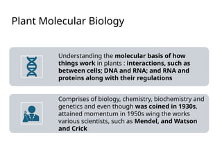 Techniques in Plant Molecular Biology Lecture 2 | PPTX