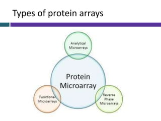 Techniques in proteomics | PPTX