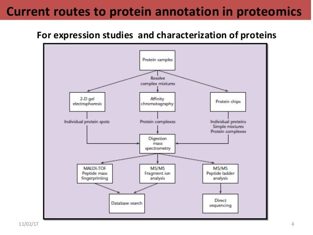 Techniques in proteomics | PPT