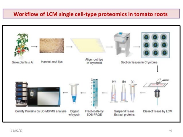 Techniques in proteomics | PPT