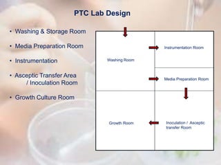 Basic Aspects of Plant Tissue Culture by Dr. Manoj Kakpure | PPTX