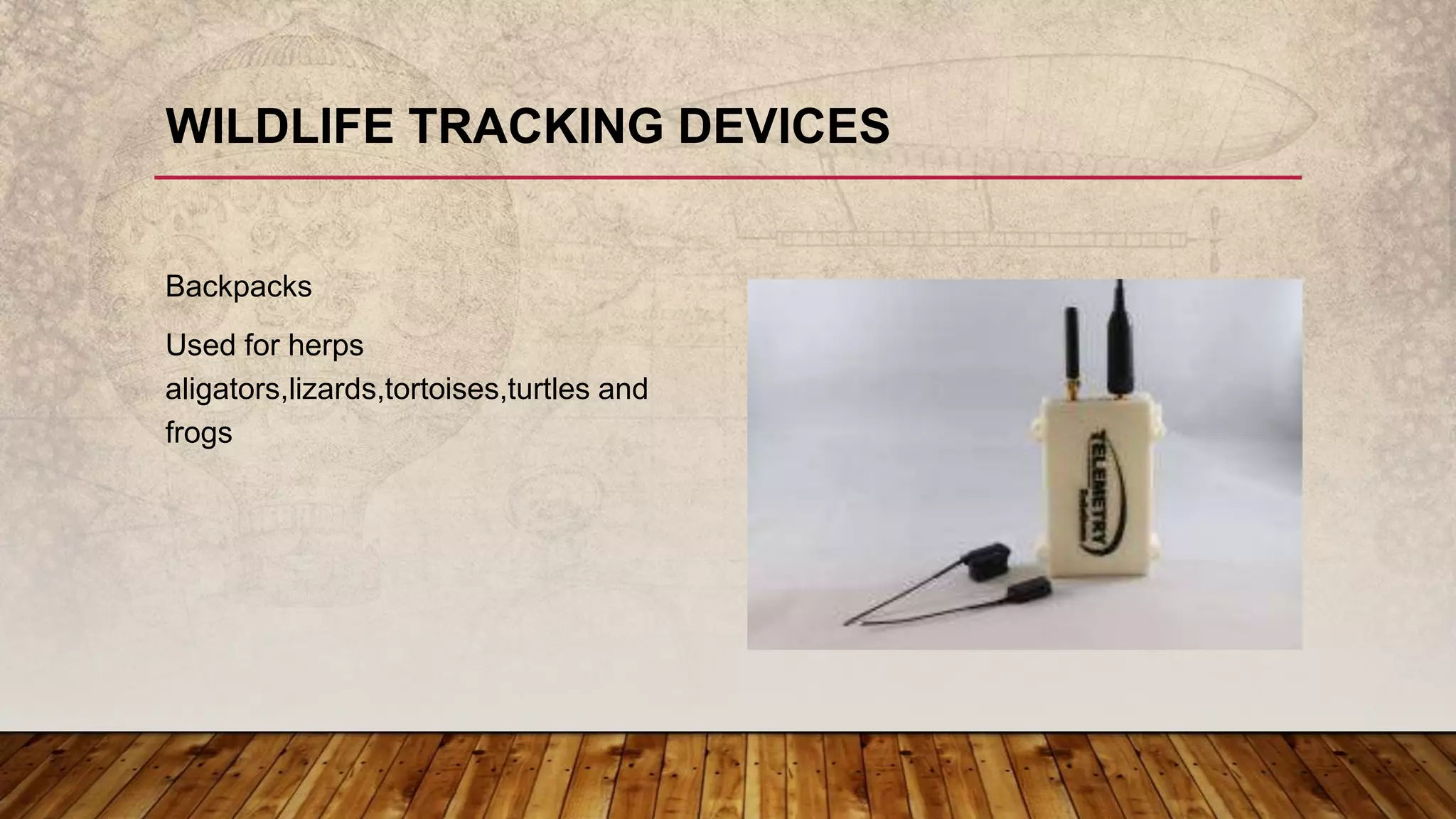 Techniques of animal tracking | PPTX