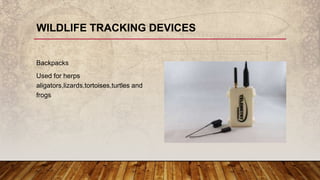 Techniques of animal tracking | PPTX