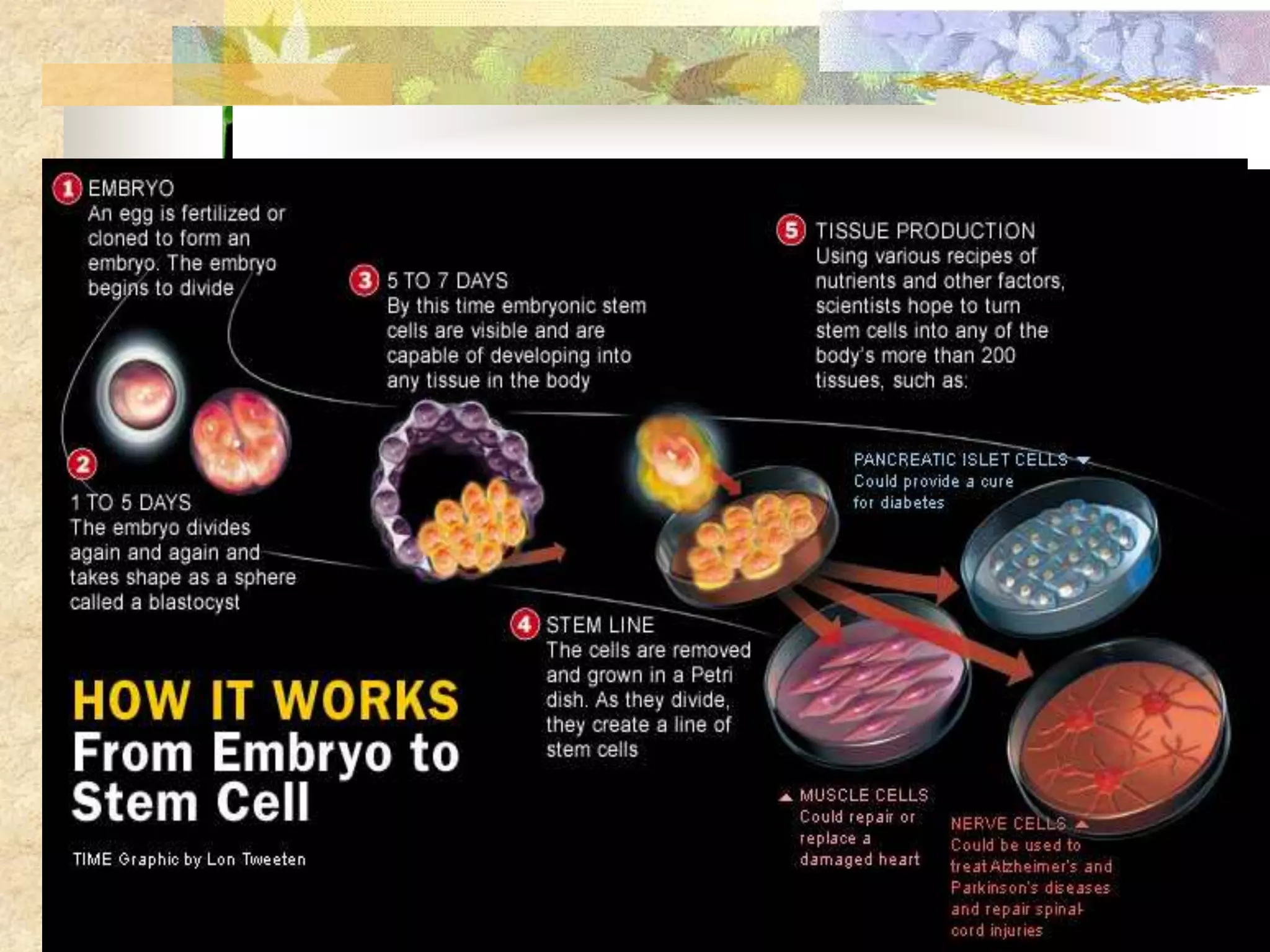 Techniques of cell cloning by kk | PPTX