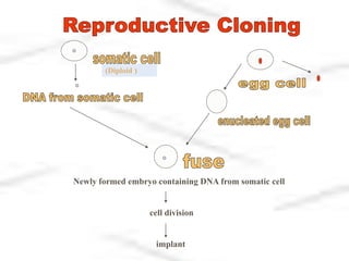 Techniques of cell cloning by kk | PPT