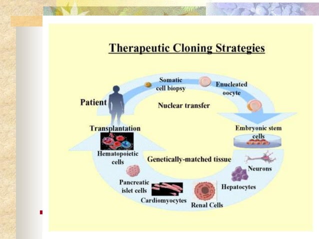 Techniques of cell cloning by kk | PPTX