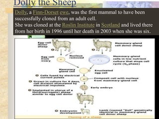 Techniques of cell cloning by kk | PPT