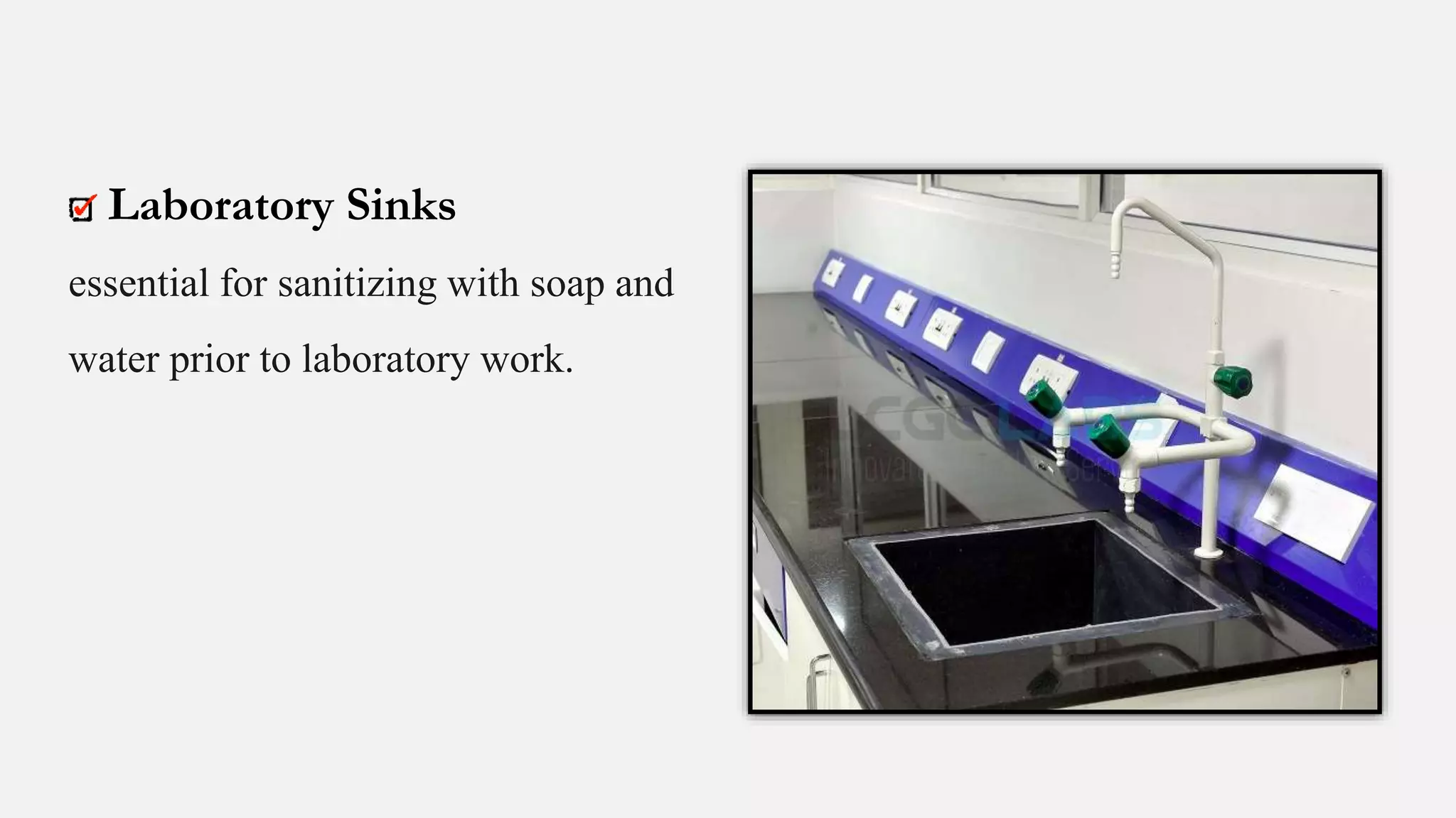 Cell Culture: Tools and Techniques | PPTX