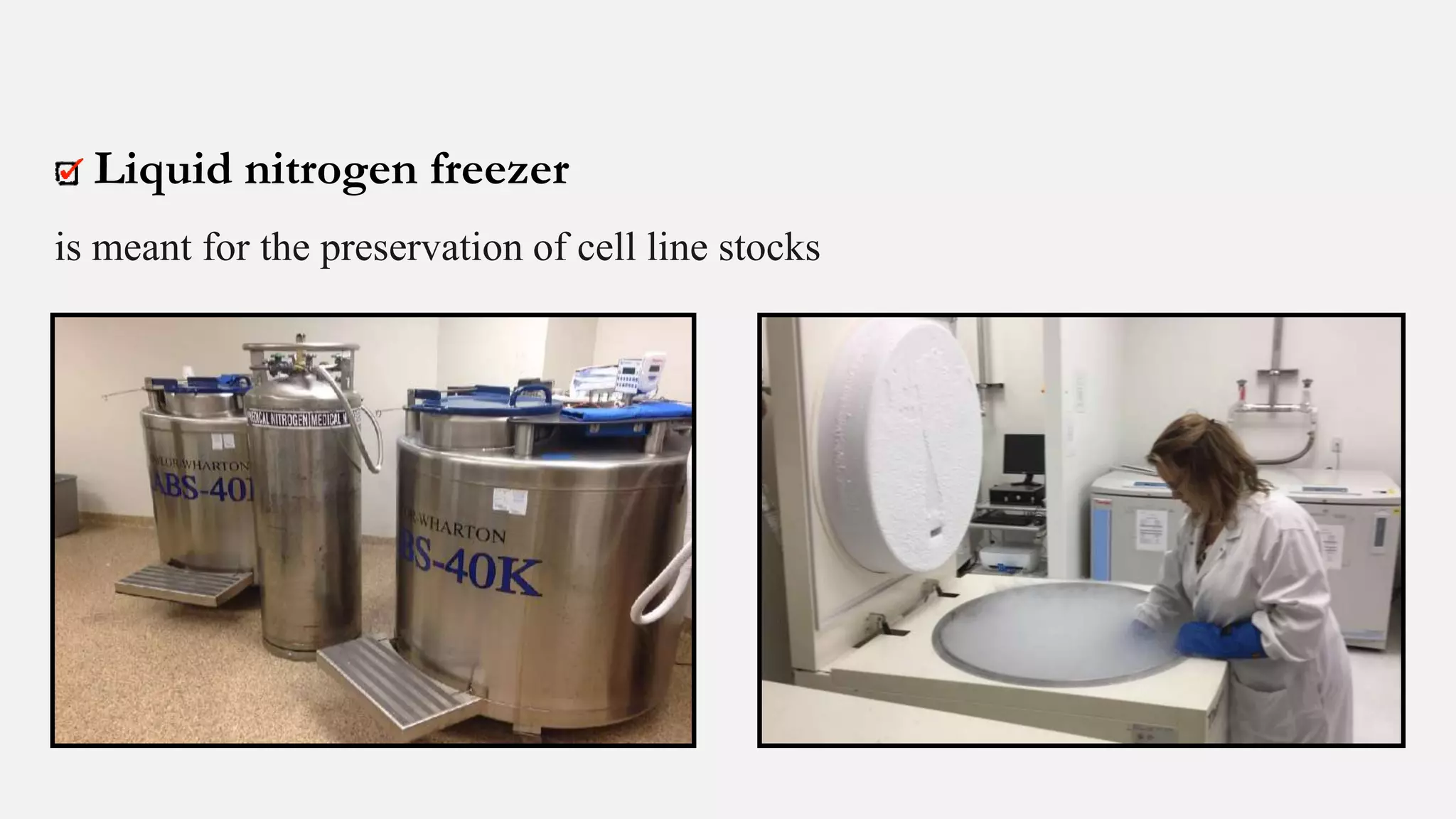 Cell Culture: Tools and Techniques | PPTX