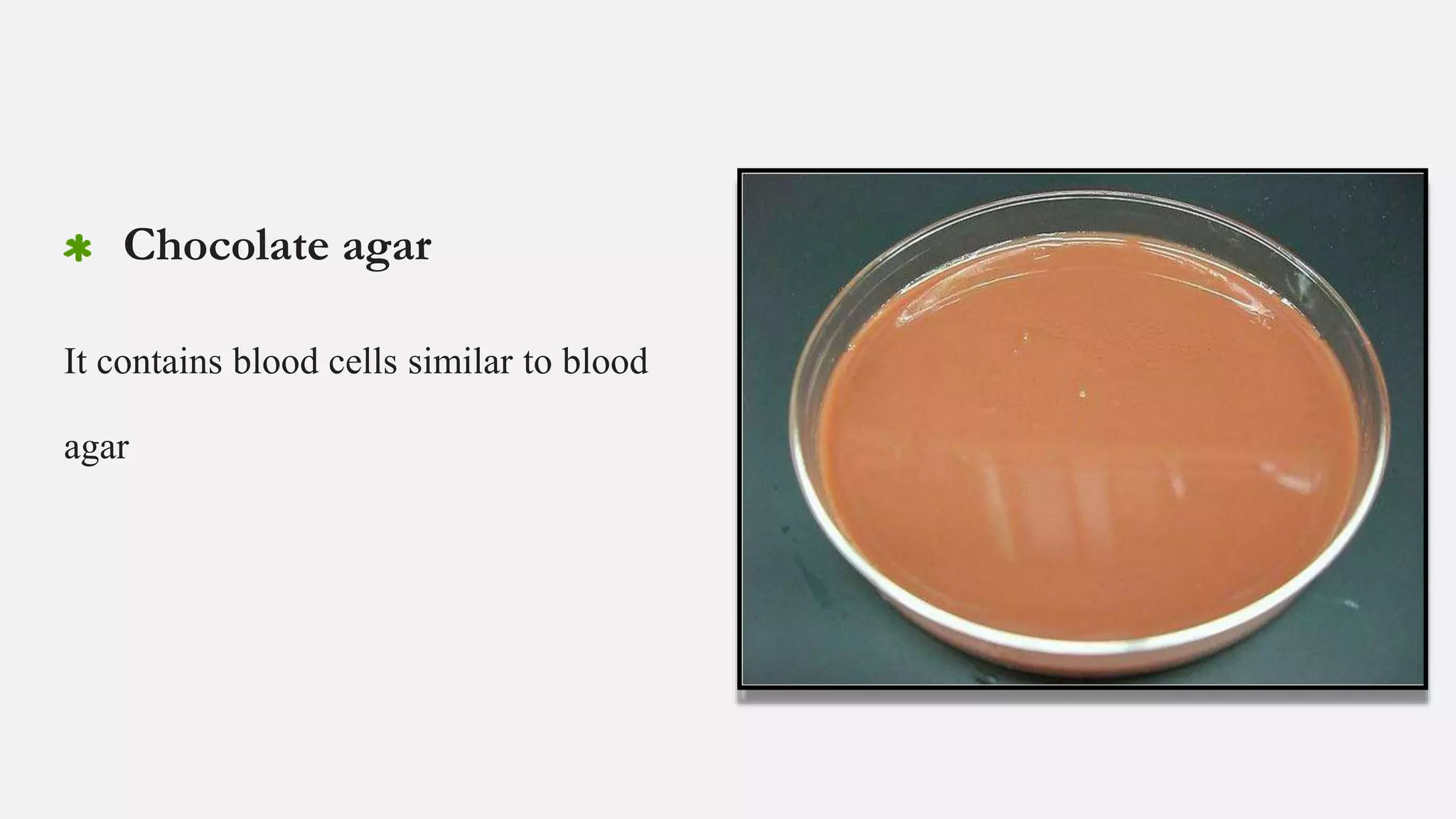 Cell Culture: Tools and Techniques | PPTX