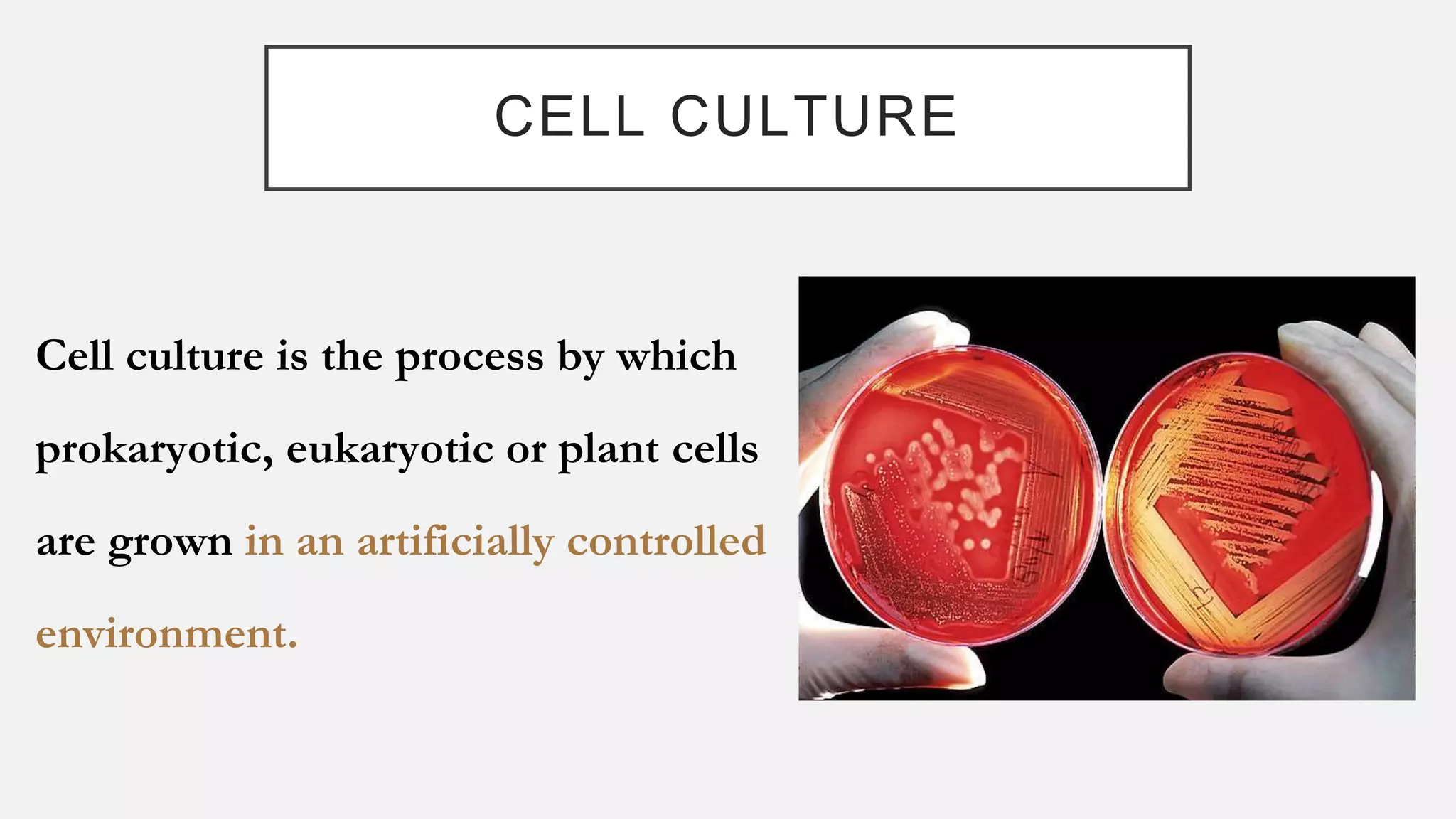 Cell Culture: Tools and Techniques | PPTX