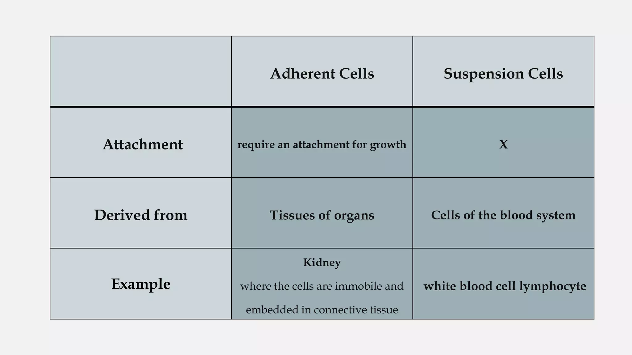 Cell Culture: Tools and Techniques | PPTX