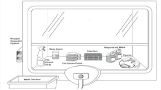Cell Culture: Tools and Techniques | PPTX