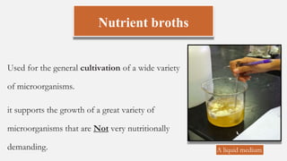 Cell Culture: Tools and Techniques | PPTX