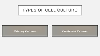 Cell Culture: Tools and Techniques | PPTX
