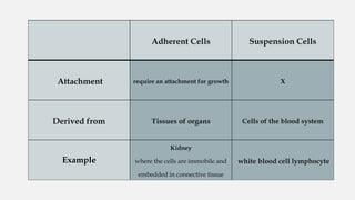 Cell Culture: Tools and Techniques | PPTX