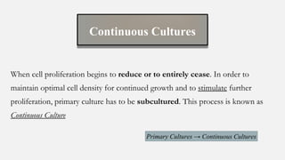 Cell Culture: Tools and Techniques | PPTX