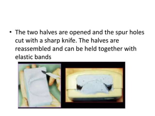 Techniques of copy denture fabrication.pptx