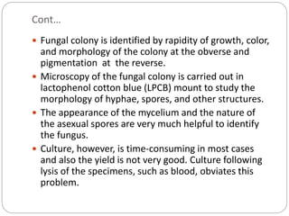 Techniques of diagnostic Mycology- 5 hours | PPTX