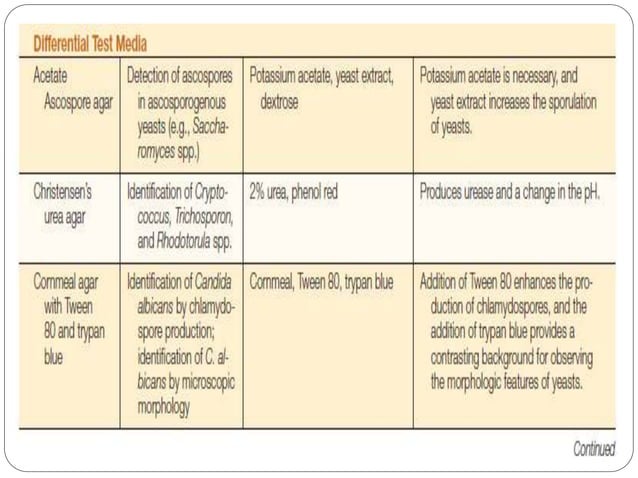 Techniques of diagnostic Mycology- 5 hours | PPTX | Skin and Dermatology | Diseases and Conditions