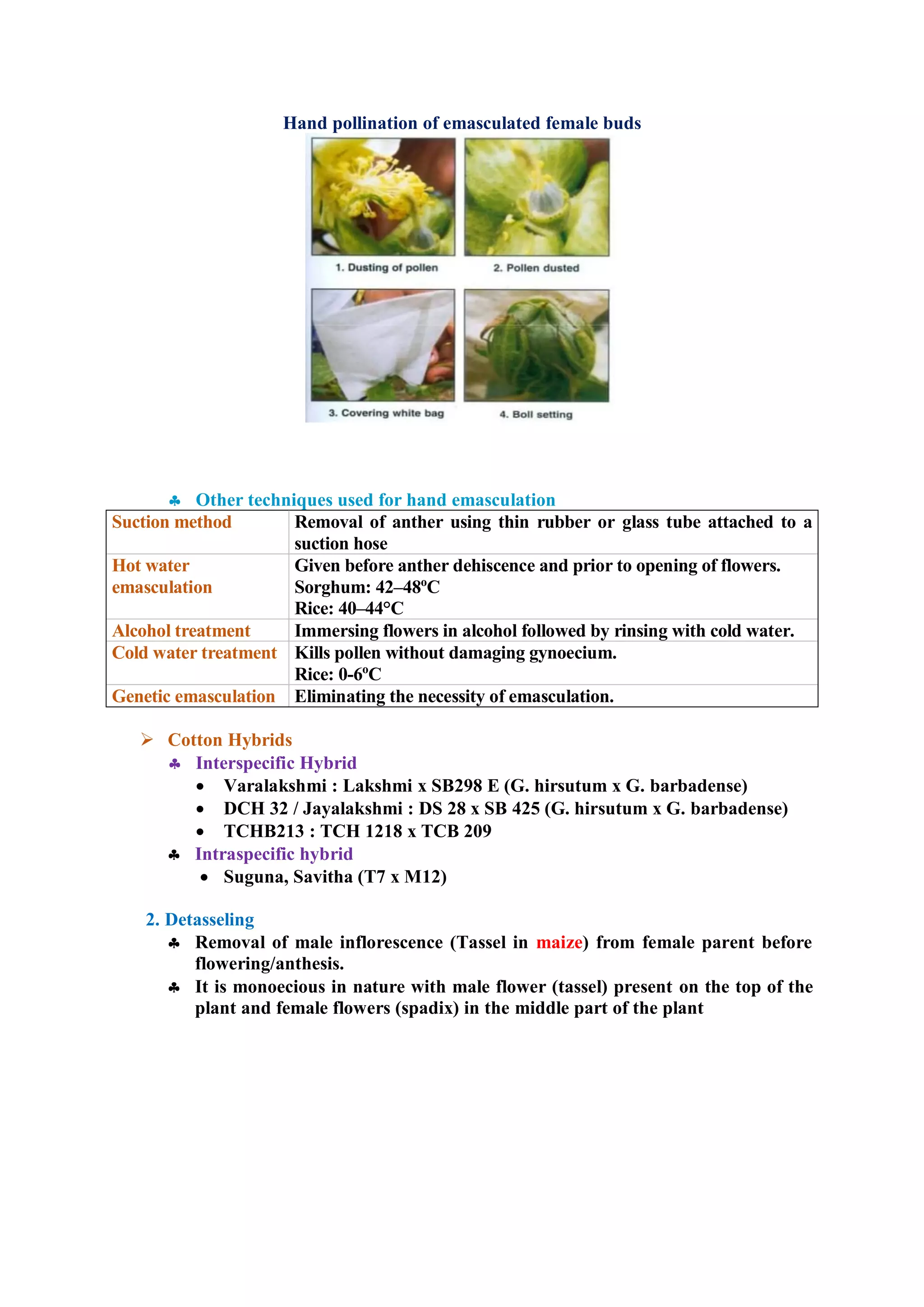 Techniques of hybrid seed production.pdf