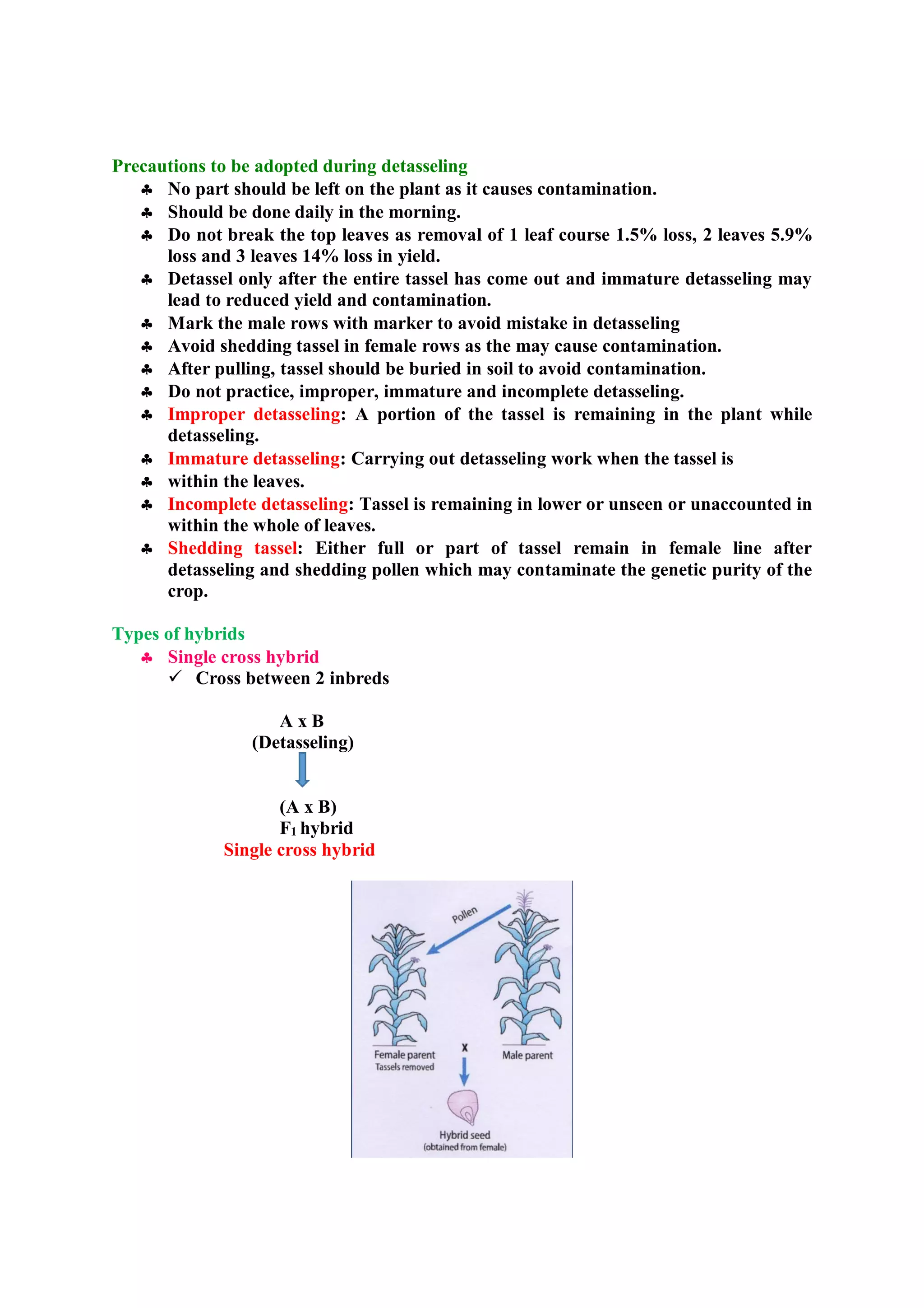 Techniques of hybrid seed production.pdf