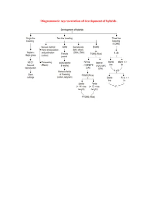 Techniques of hybrid seed production.pdf