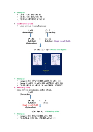 Techniques of hybrid seed production.pdf