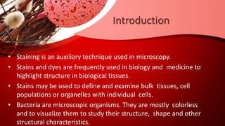 Techniques of identification of bacteria | PPTX