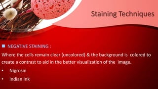 Techniques of identification of bacteria | PPTX