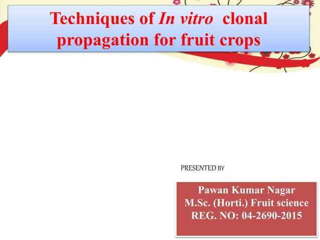 Techniques of in vitro clonal propagation for fruit crops | PPTX ...