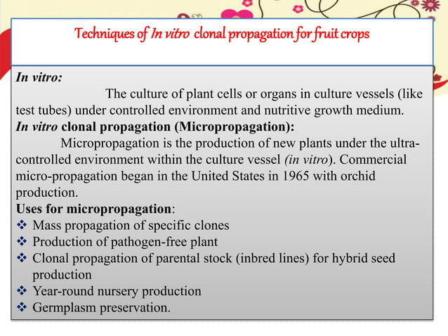 Techniques of in vitro clonal propagation for fruit crops | PPTX ...