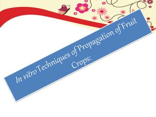 Techniques of in vitro clonal propagation for fruit crops | PPTX