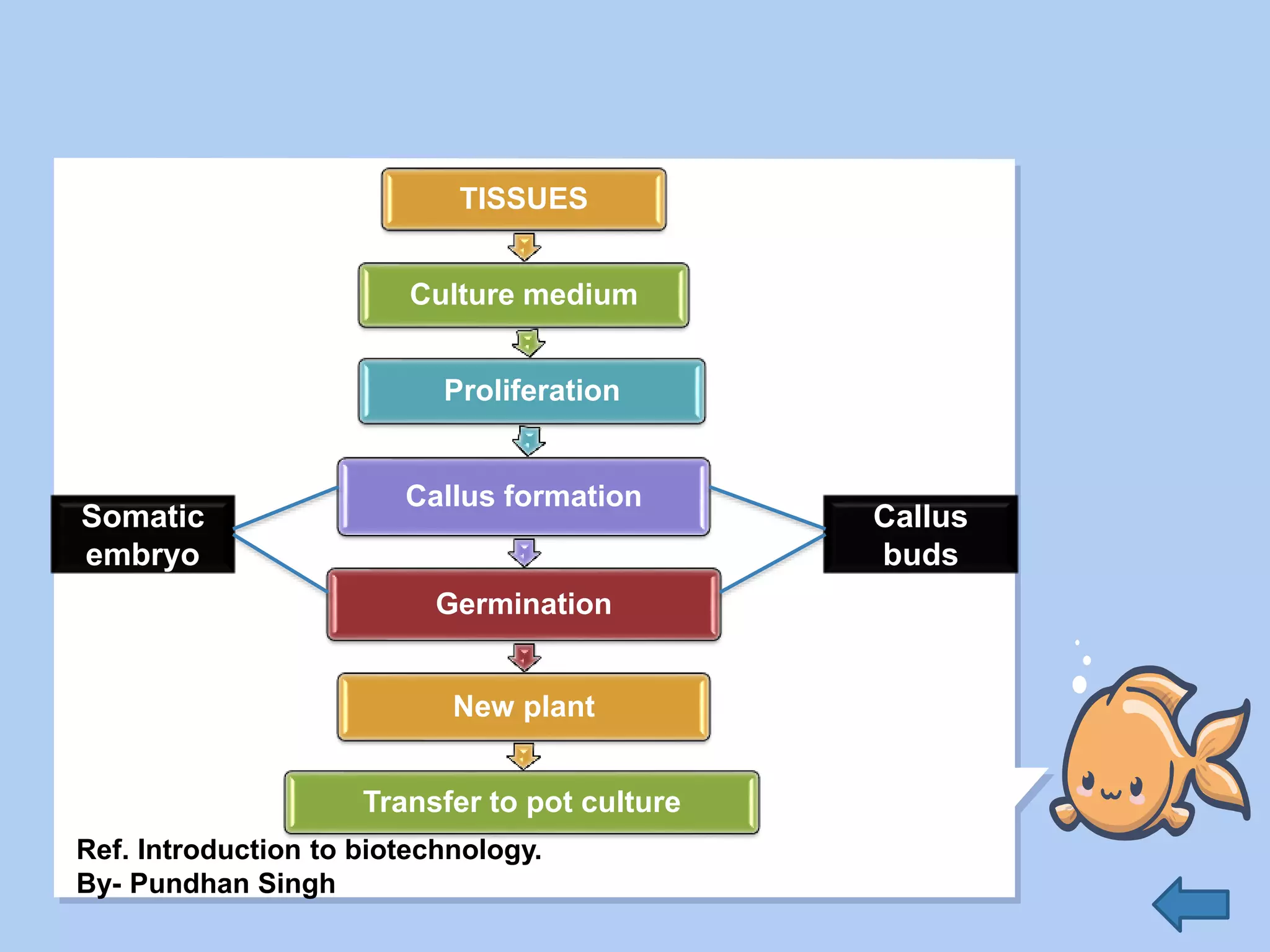 Techniques of in vitro culture | PPTX