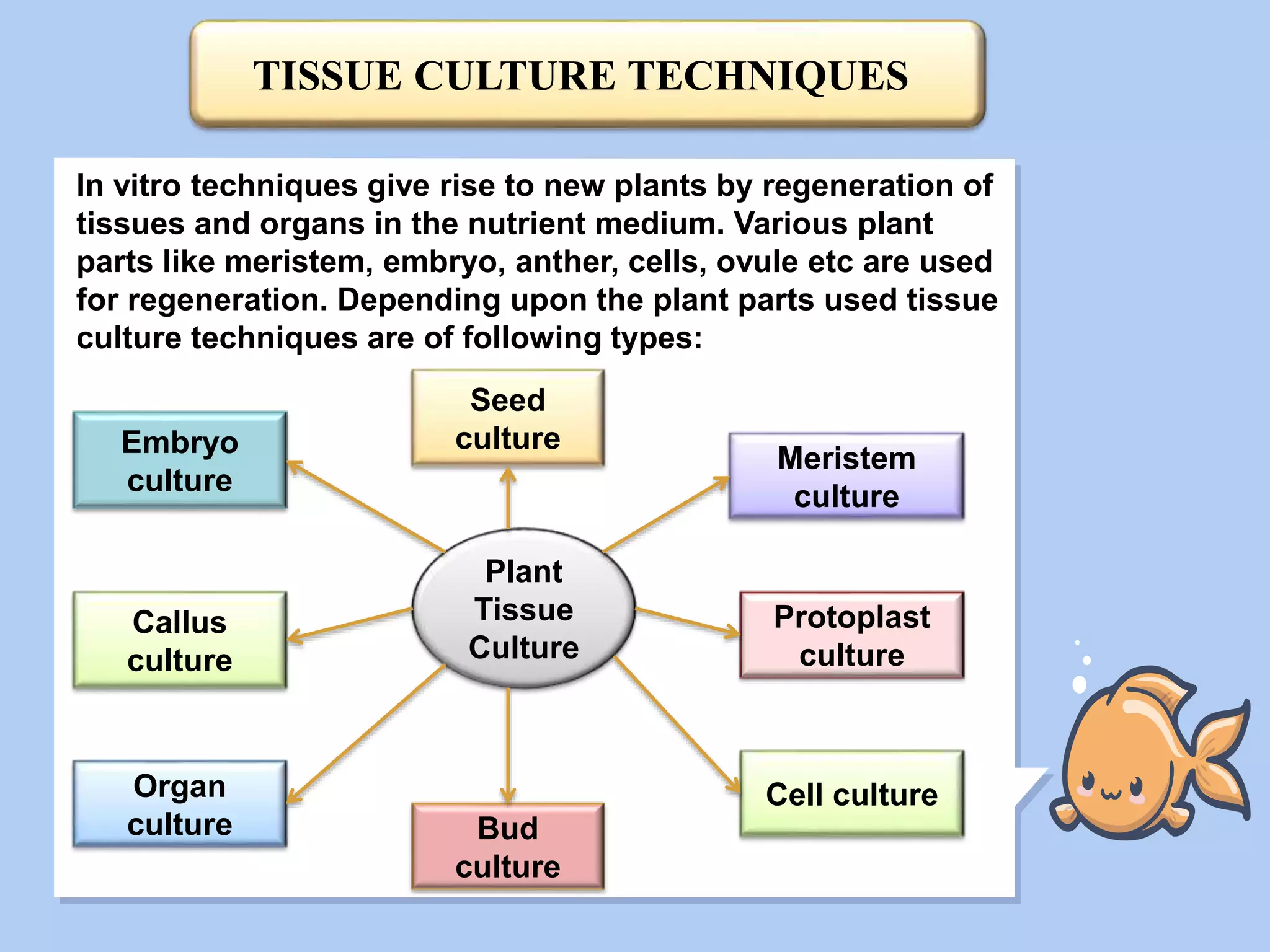 Techniques of in vitro culture | PPTX
