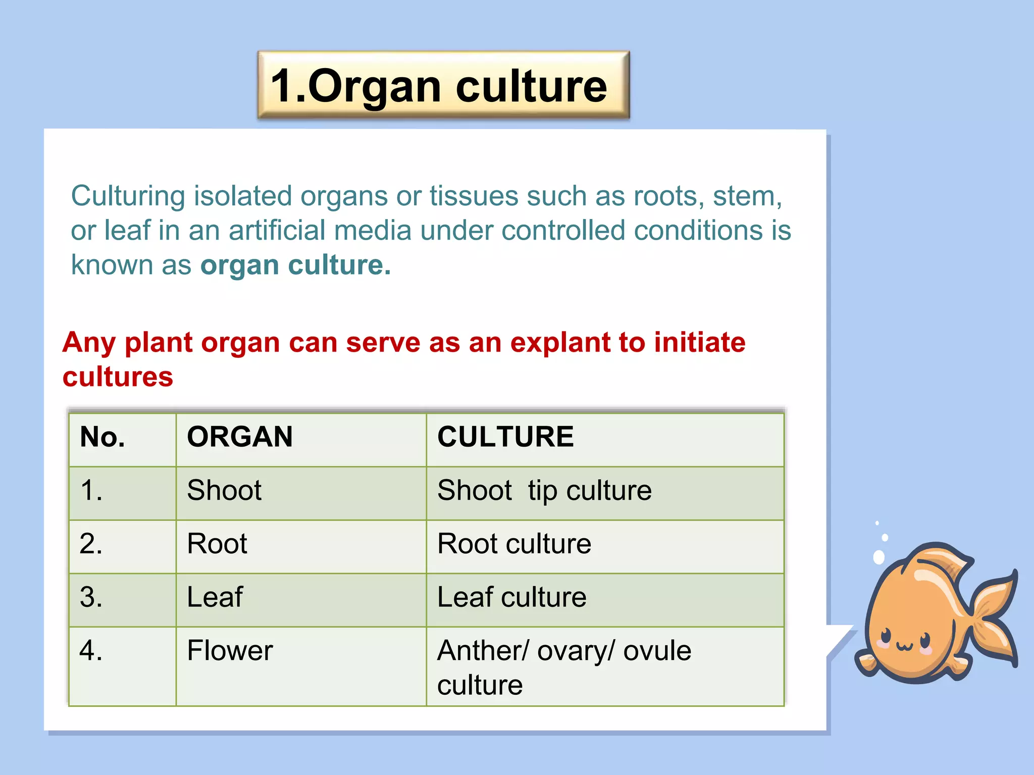 Techniques of in vitro culture | PPTX