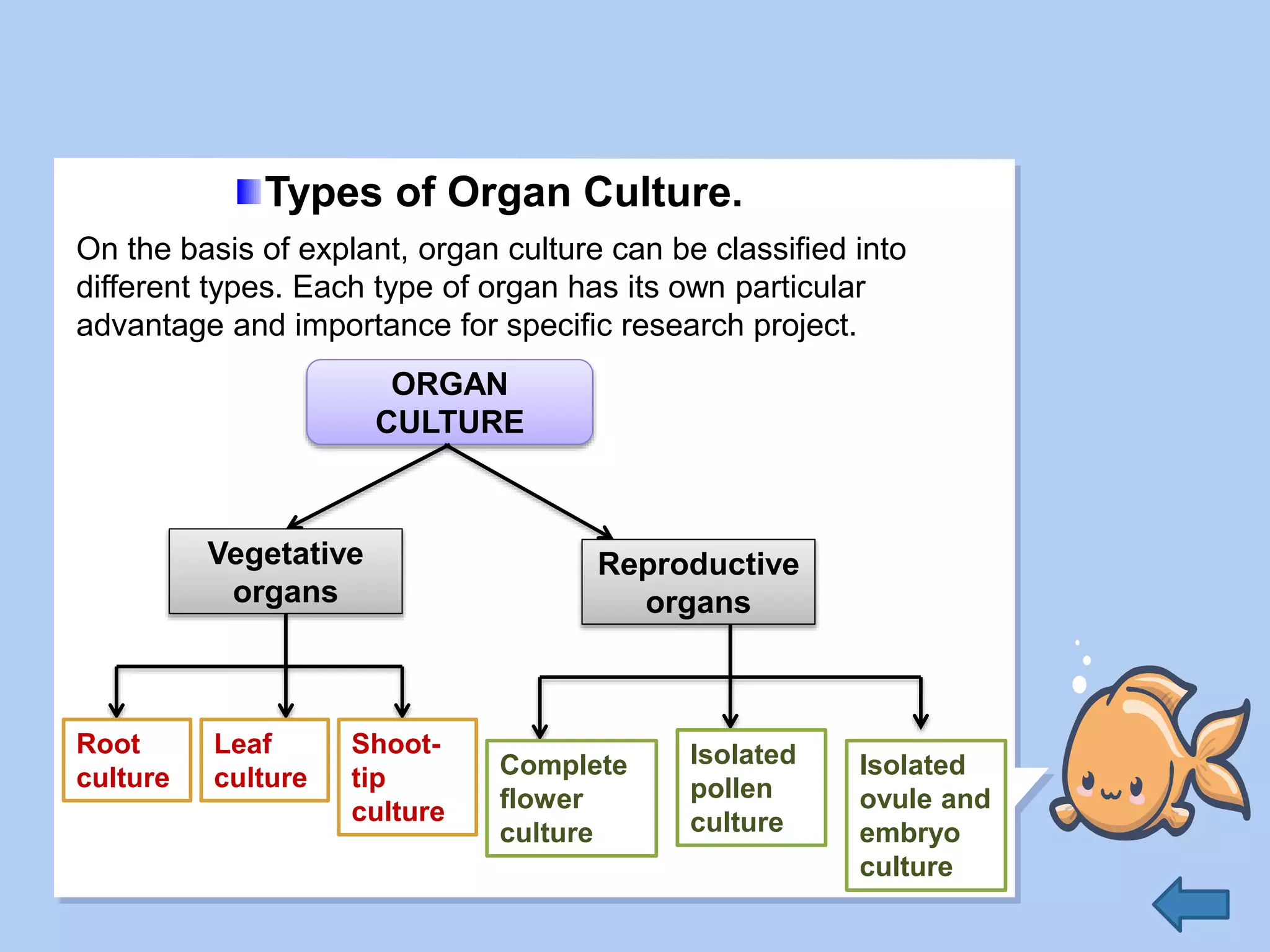 Techniques of in vitro culture | PPTX