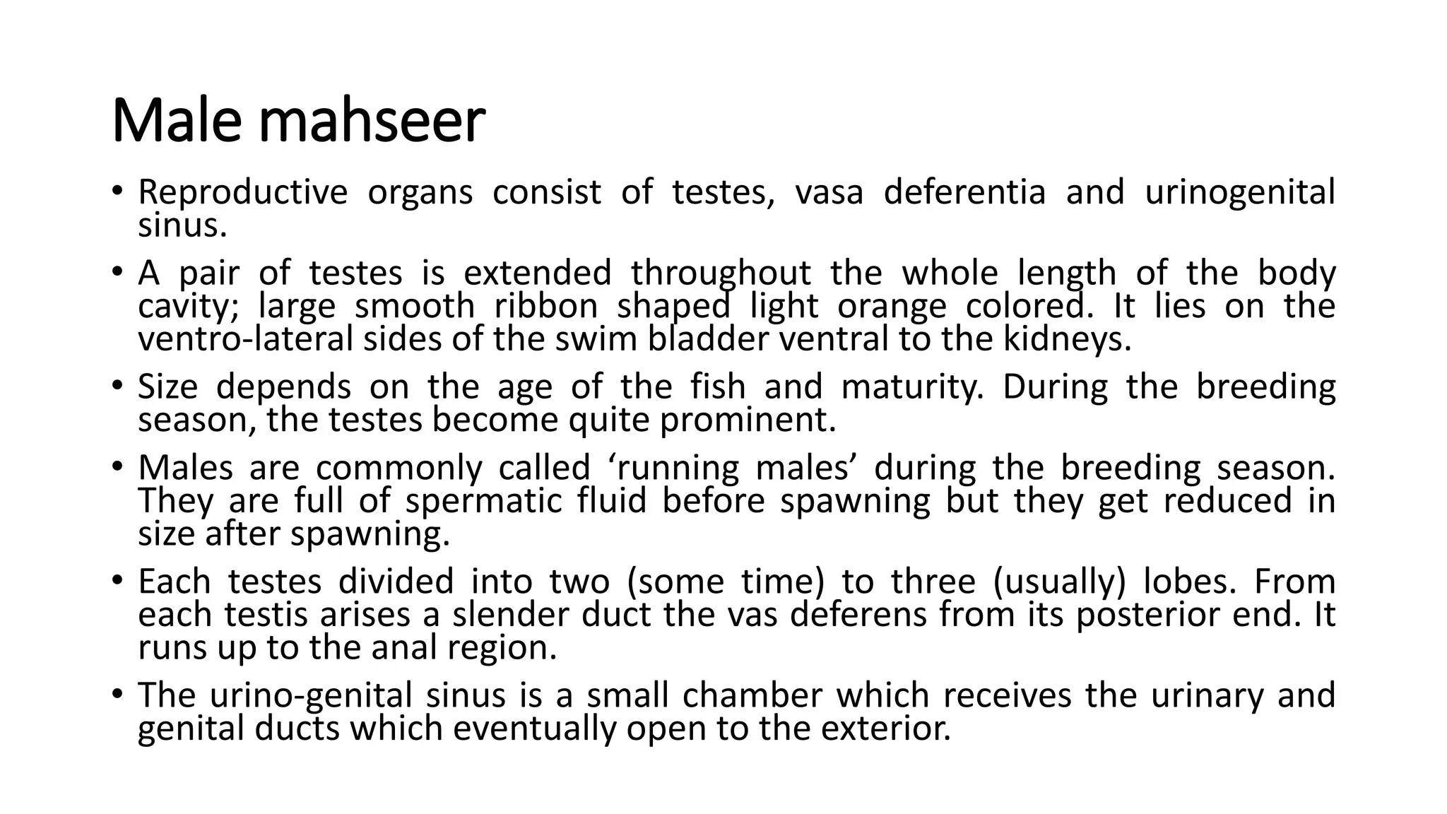 Techniques of mahseer (Tor species) breeding | PPTX