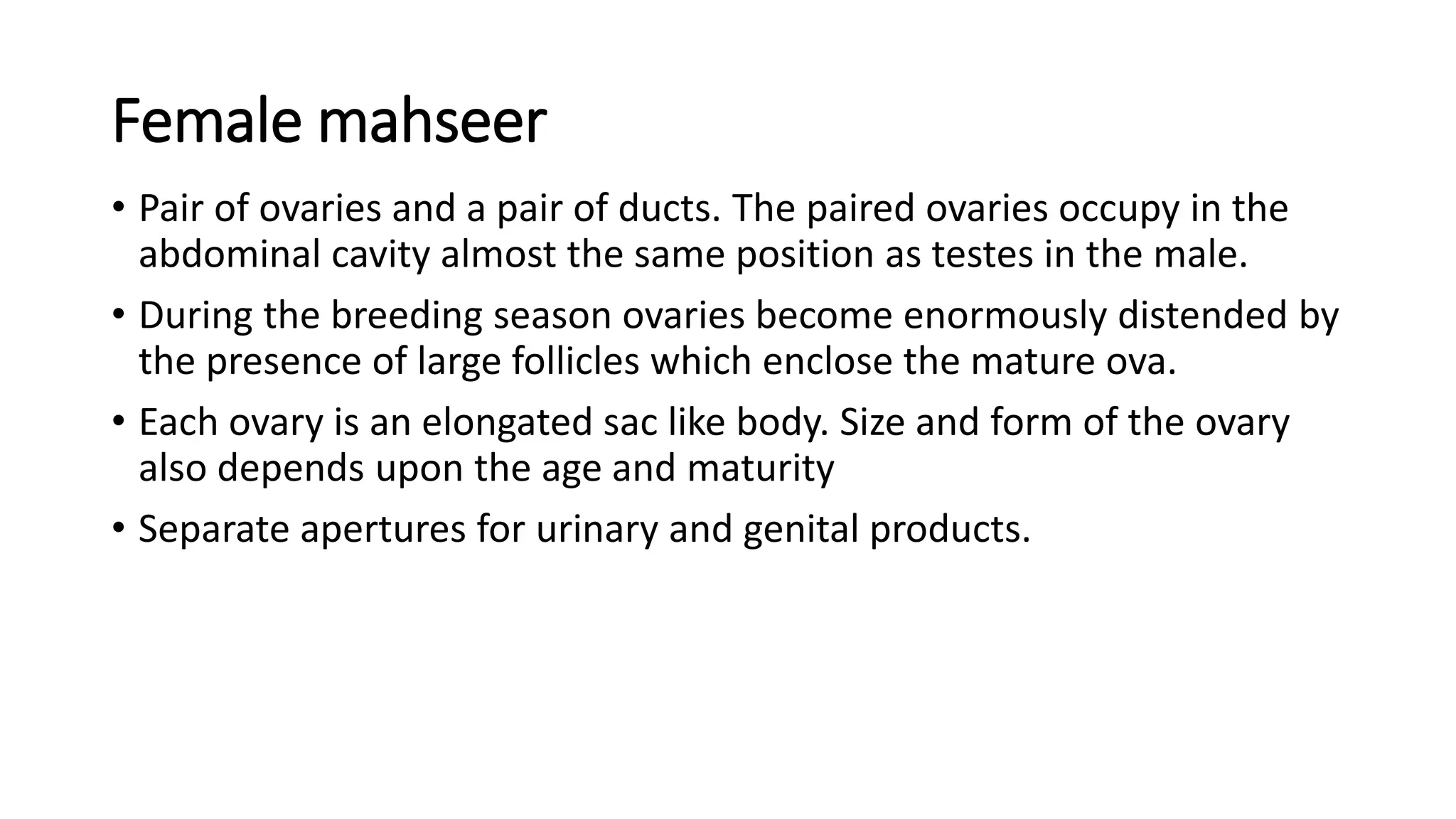 Techniques of mahseer (Tor species) breeding | PPTX