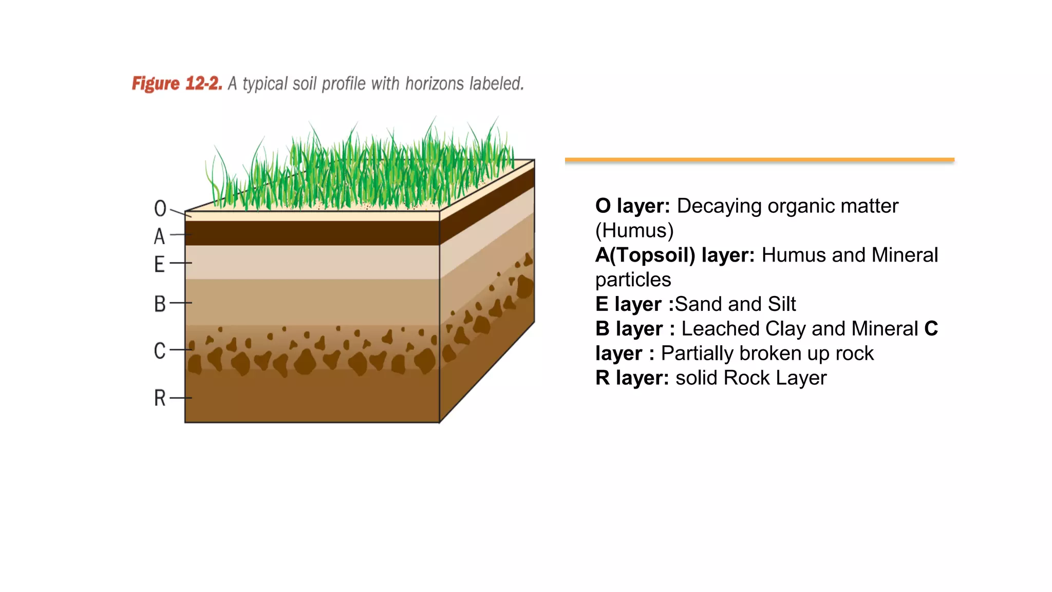 Techniques of recovery AND processing of skeletal remains.pdf
