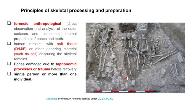 Techniques of recovery AND processing of skeletal remains.pdf