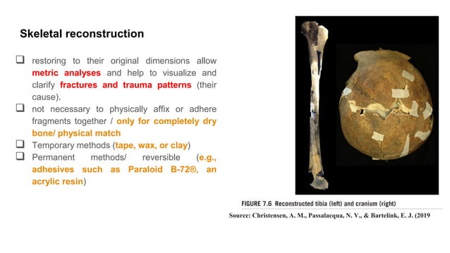 Techniques of recovery AND processing of skeletal remains.pdf