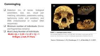 Techniques of recovery AND processing of skeletal remains.pdf