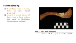 Techniques of recovery AND processing of skeletal remains.pdf