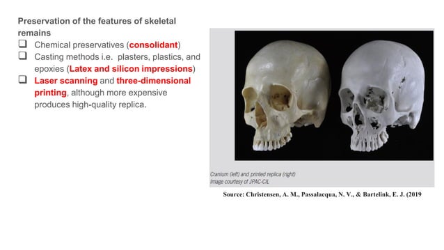 Techniques of recovery AND processing of skeletal remains.pdf