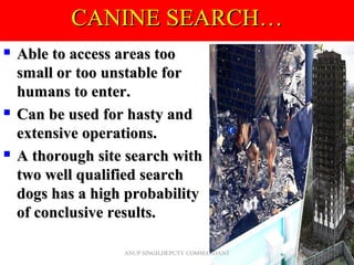Techniques of search and rescue (2) | PPT