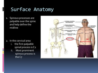 Techniques of the spinal anaesthesia.pptx