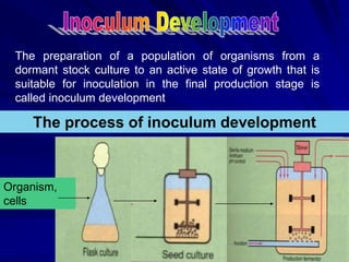 Techniques used in bioprocessing | PPT